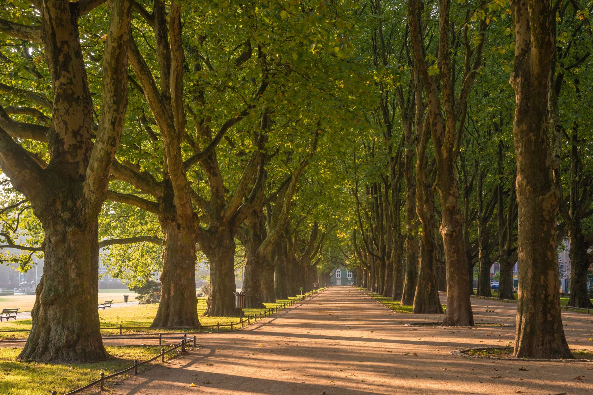 Chilworth Court Blog | Serviced Accommodation London