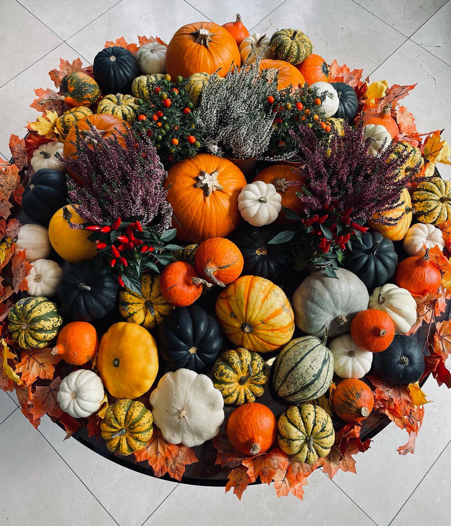 Chilworth Court | Luxury Serviced Apartments London | Book Now